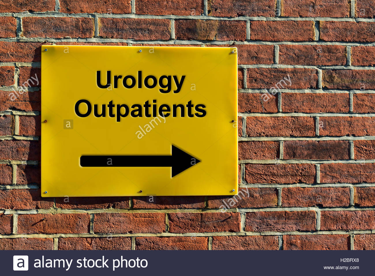 Urology Stock Photos & Urology Stock Images - Alamy