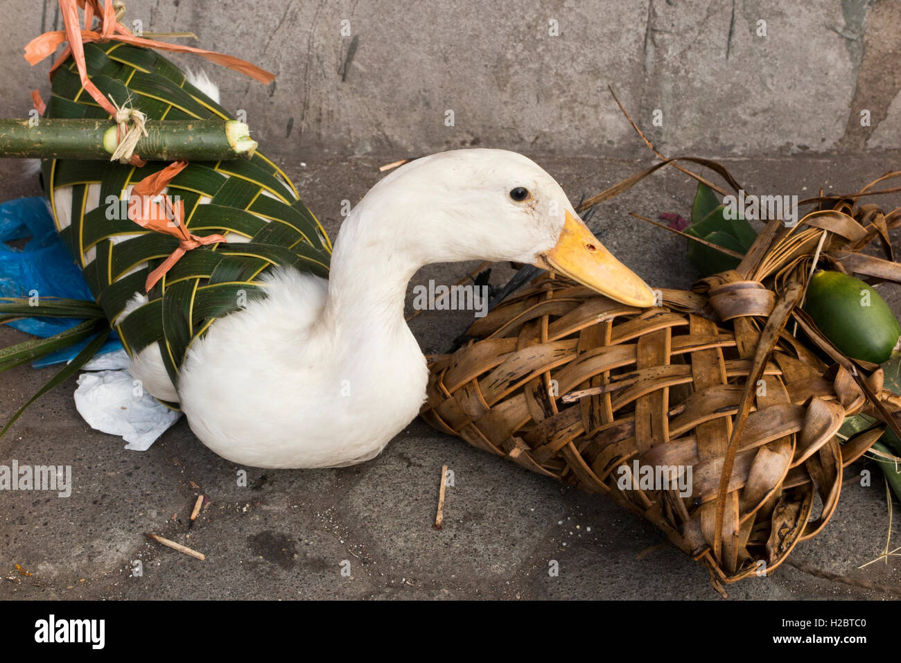 Indonesia, Bali, Batur, Puira Ulun Danu Bratar temple, Kuningan ...