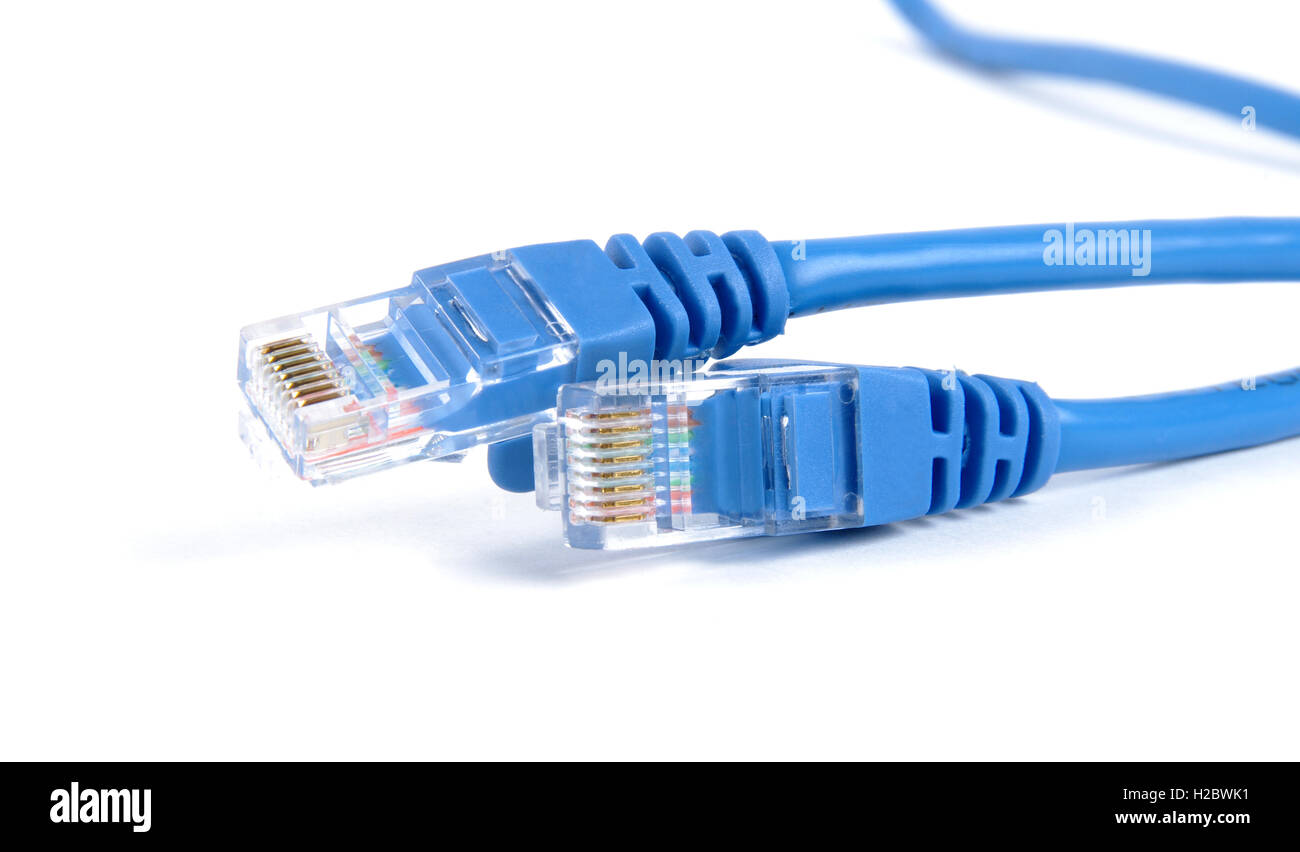 closeup of the ethernet cables Stock Photo - Alamy