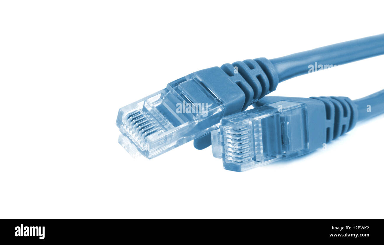 closeup of the ethernet cables Stock Photo - Alamy