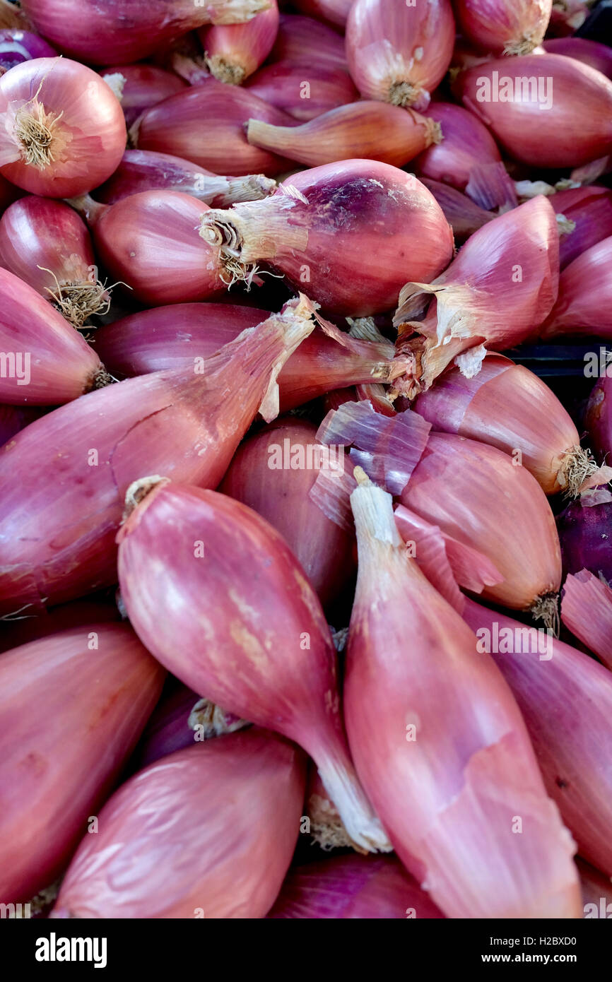 Onions for sale at local market Stock Photo - Alamy