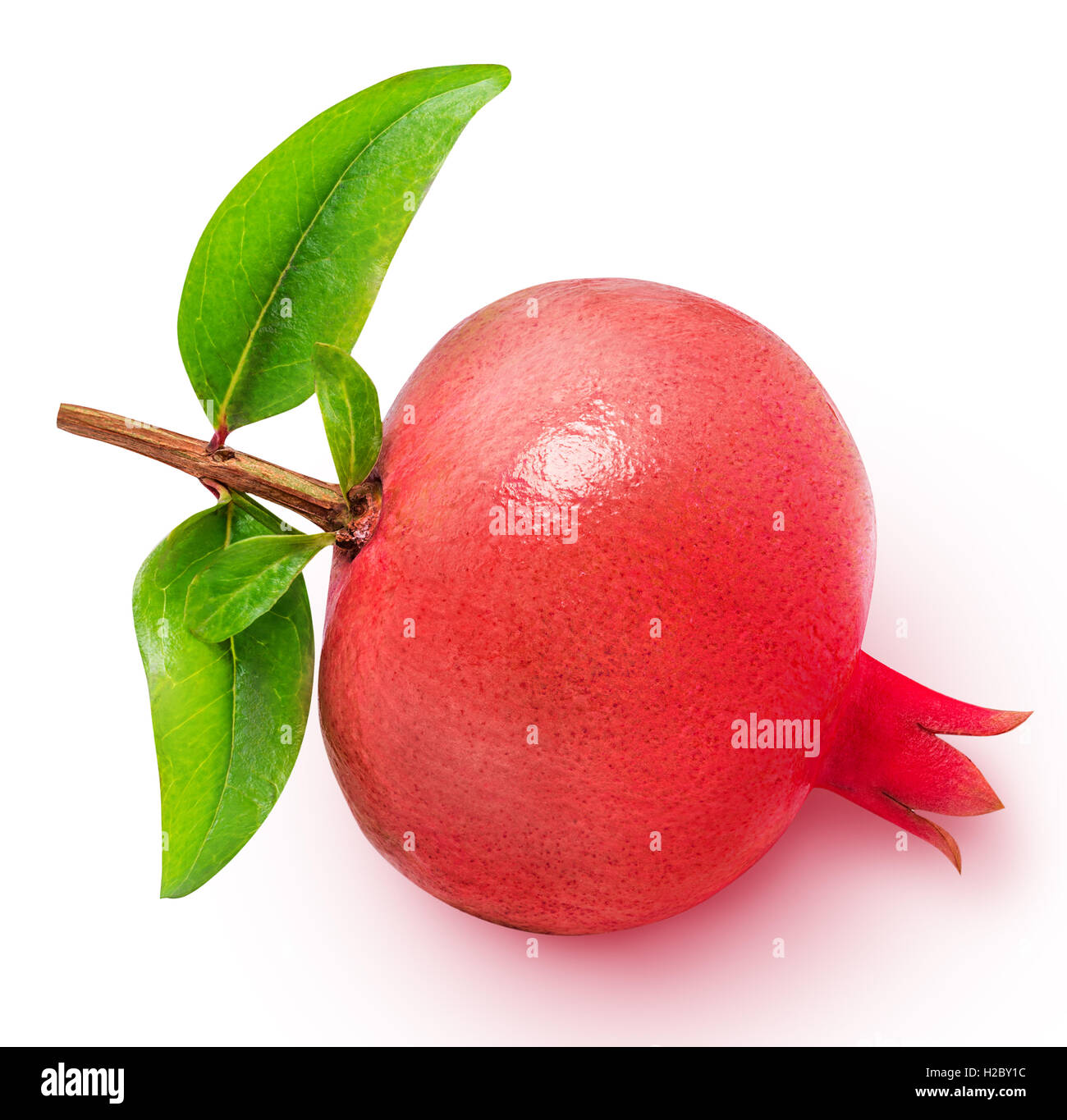 pomegranate with leaves isolated on a white background clipping path ...