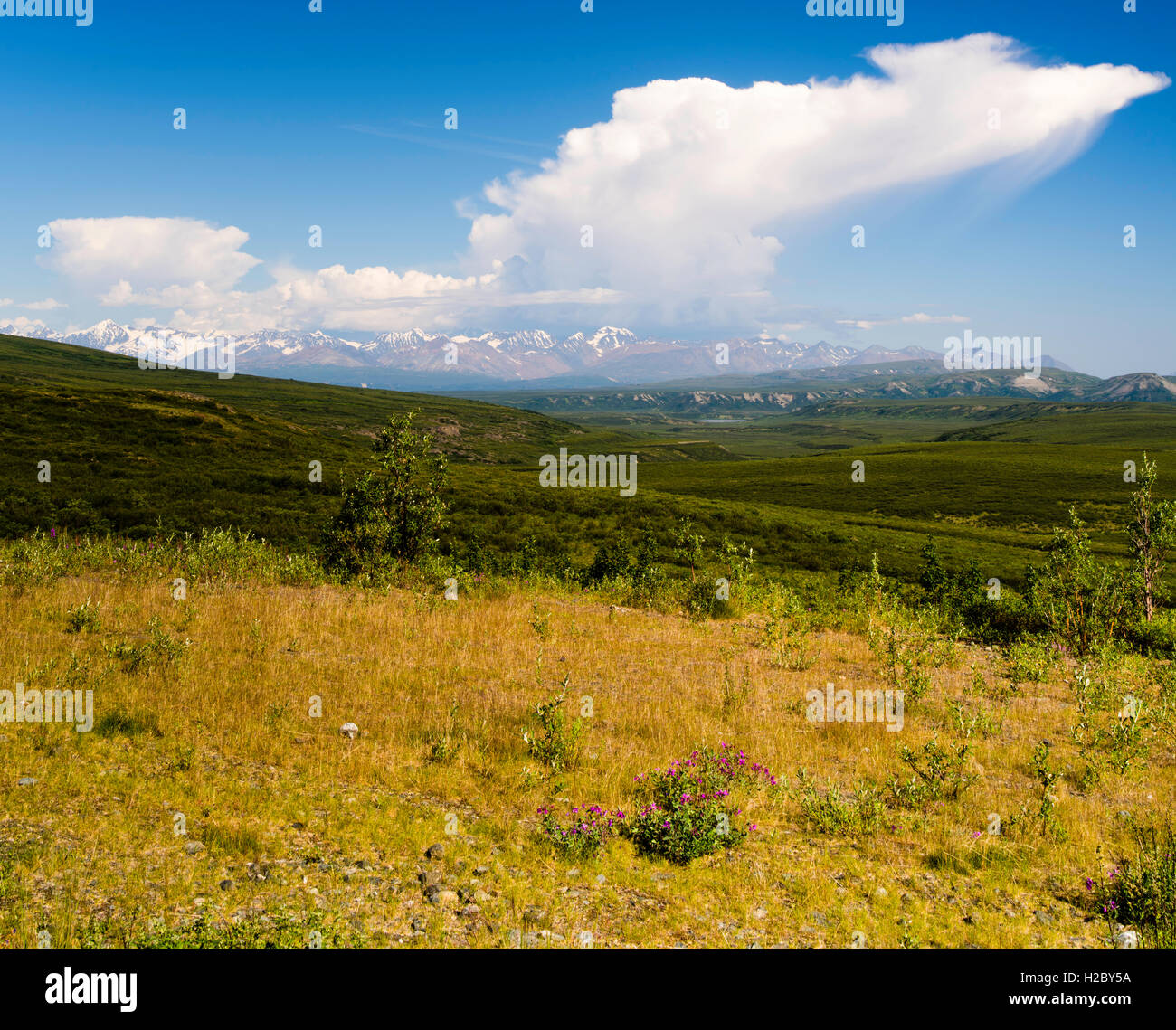 Old denali highway hi-res stock photography and images - Alamy