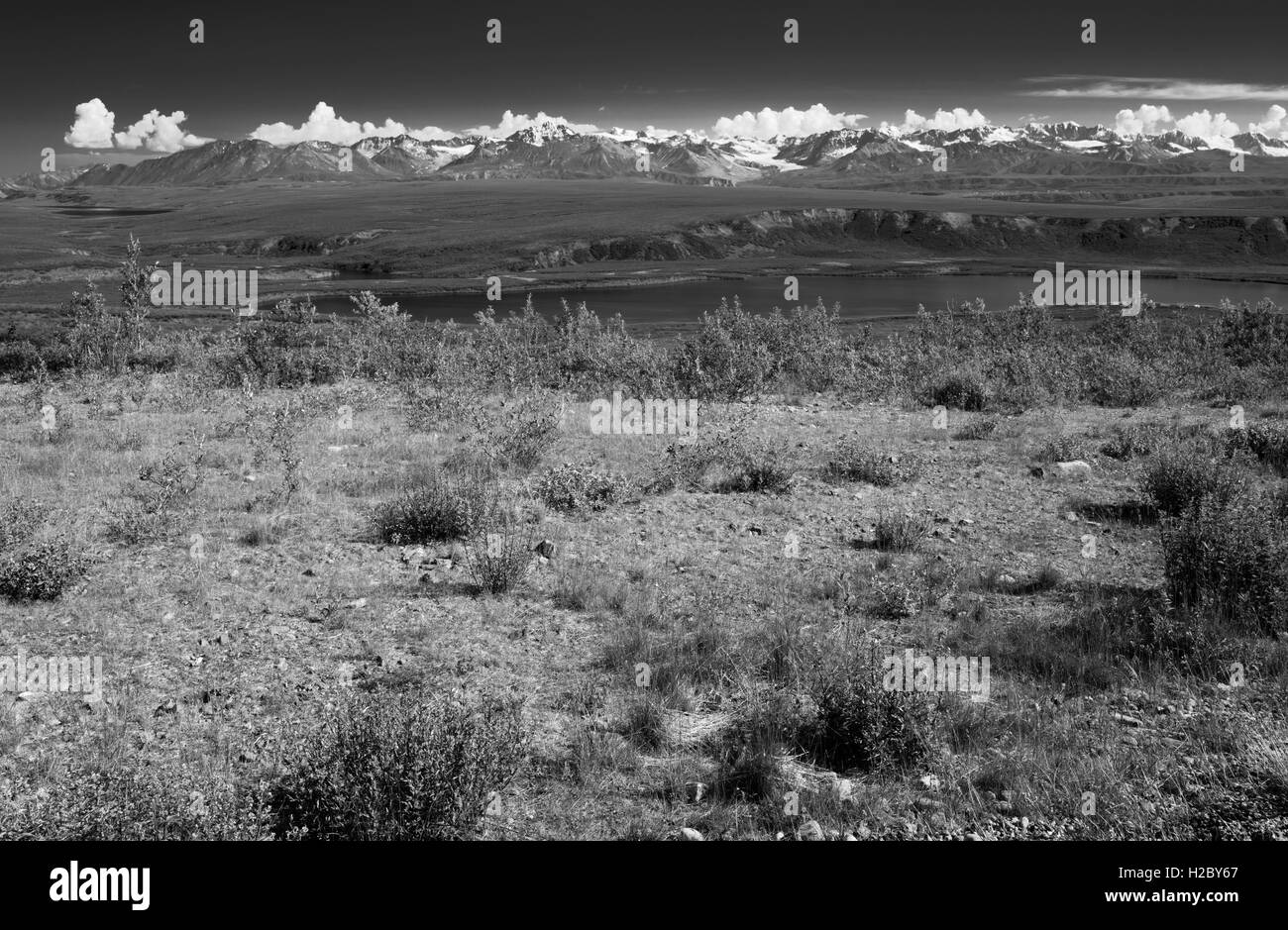 View of the Amphitheater Mountains and Sevenmile Lake (foreground) east ...