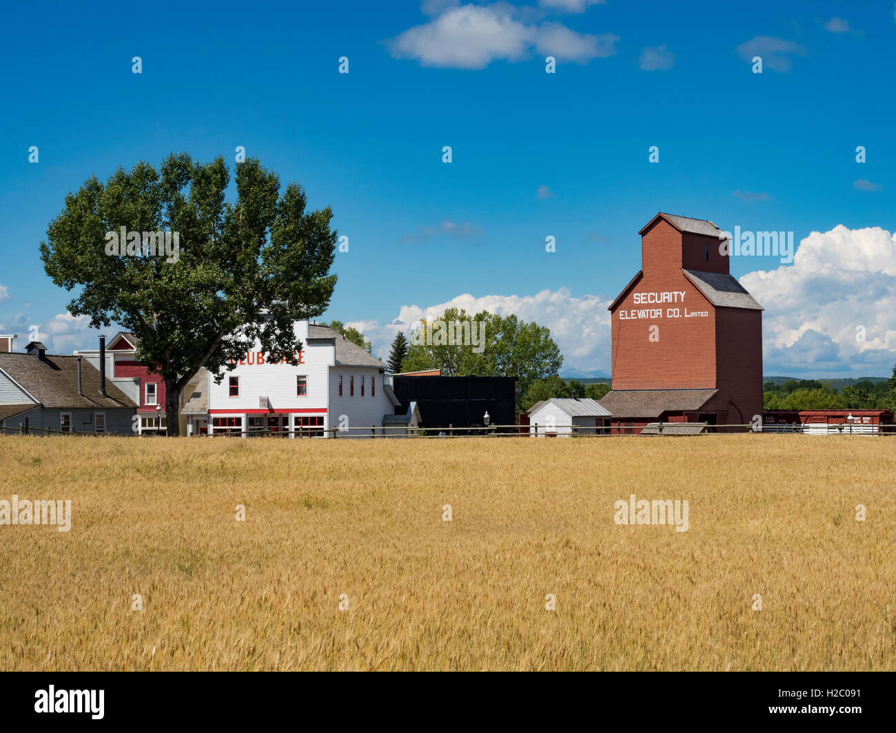 Wheat with sun hi-res stock photography and images - Alamy