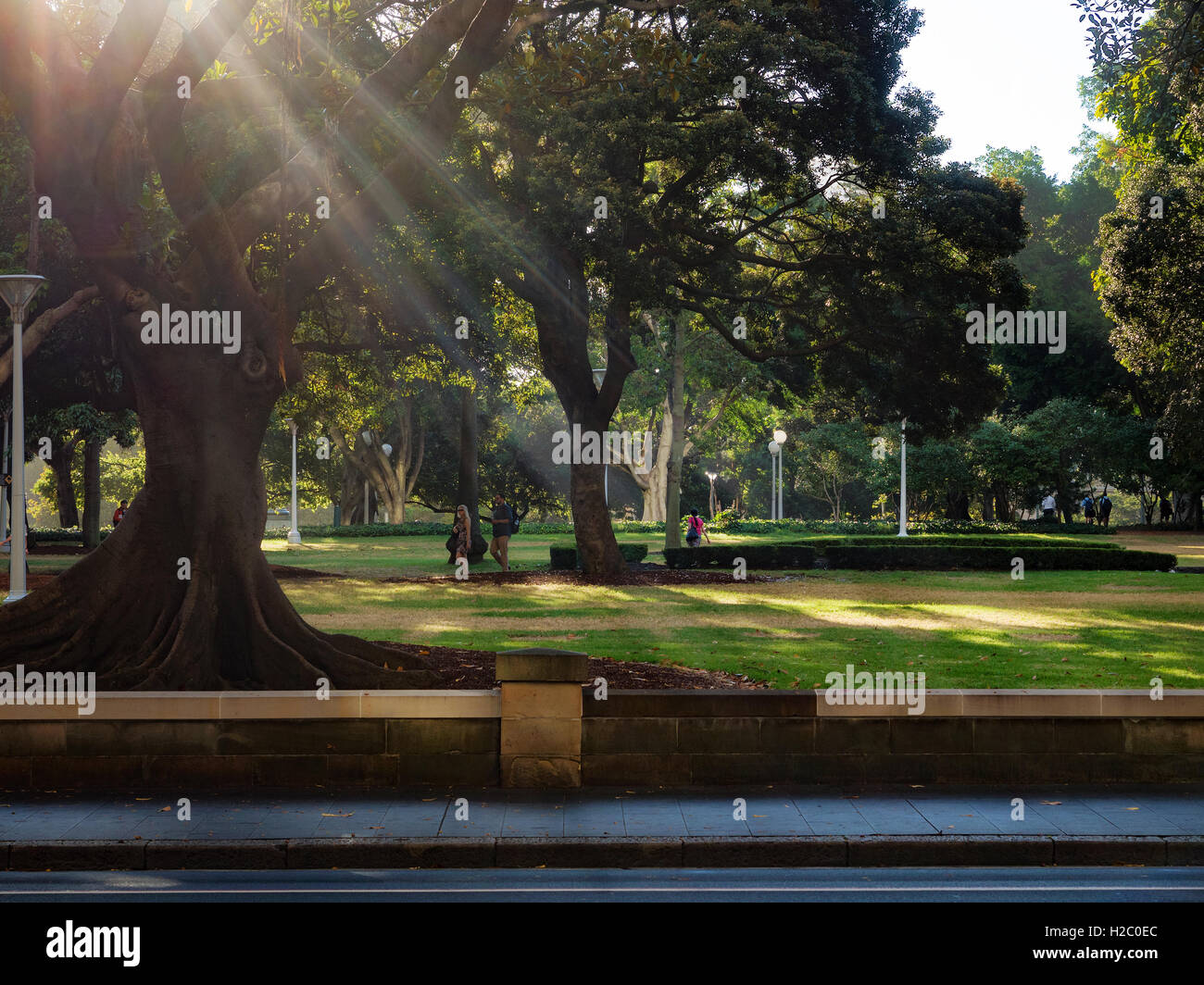 Shimmering light hi-res stock photography and images - Alamy