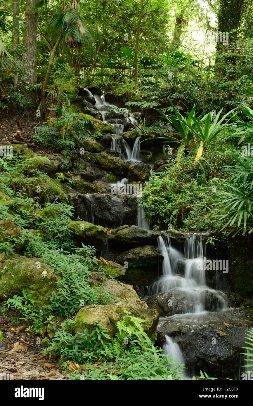 Tall waterfall among trees and shrubs in the forest Stock Photo - Alamy