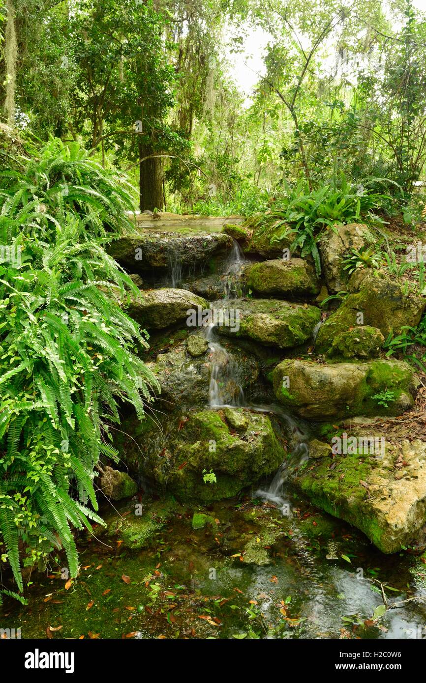 Small waterfall among trees and shrubs in the forest Stock Photo - Alamy