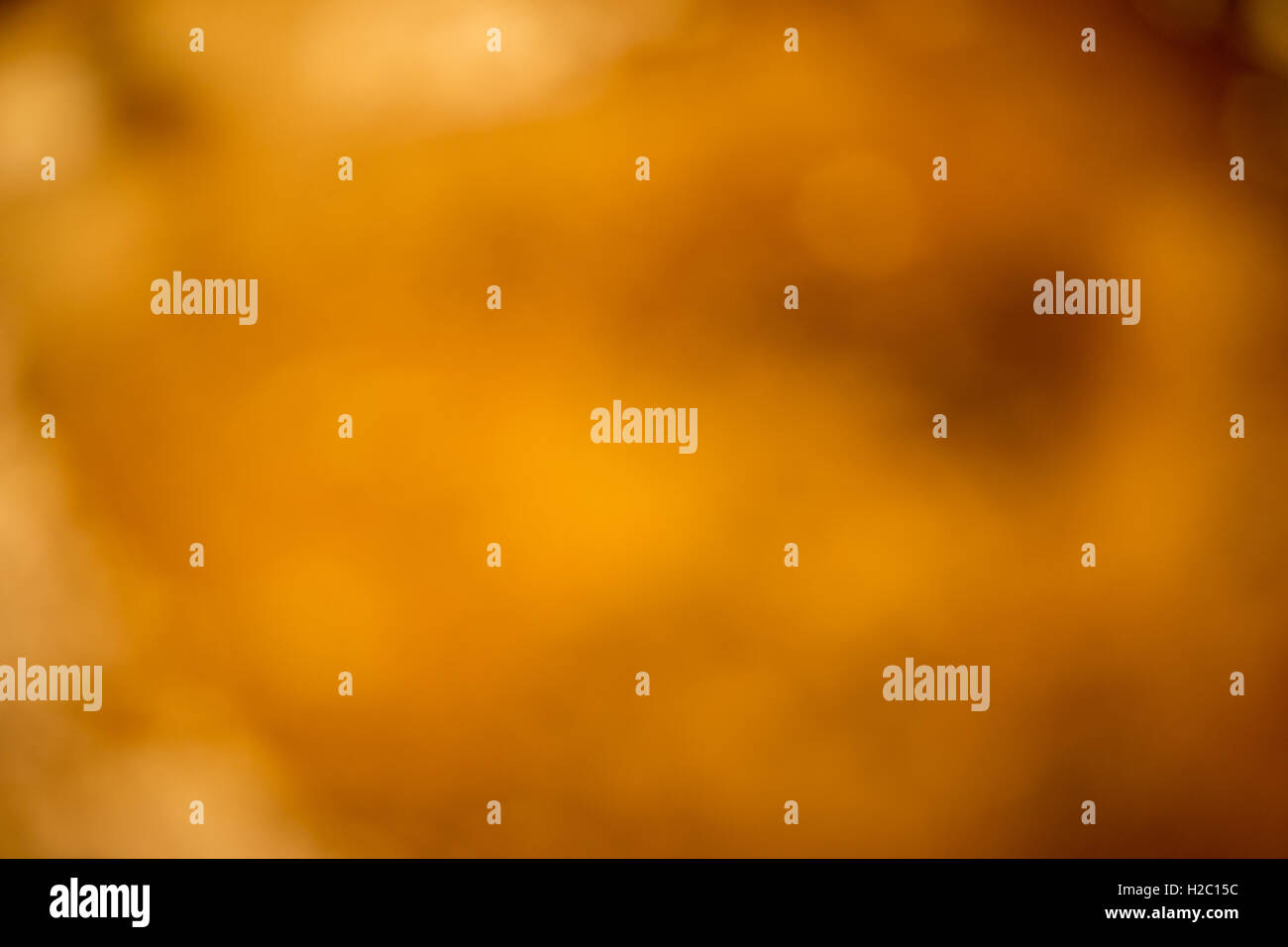 Shade of yellow hi-res stock photography and images - Alamy