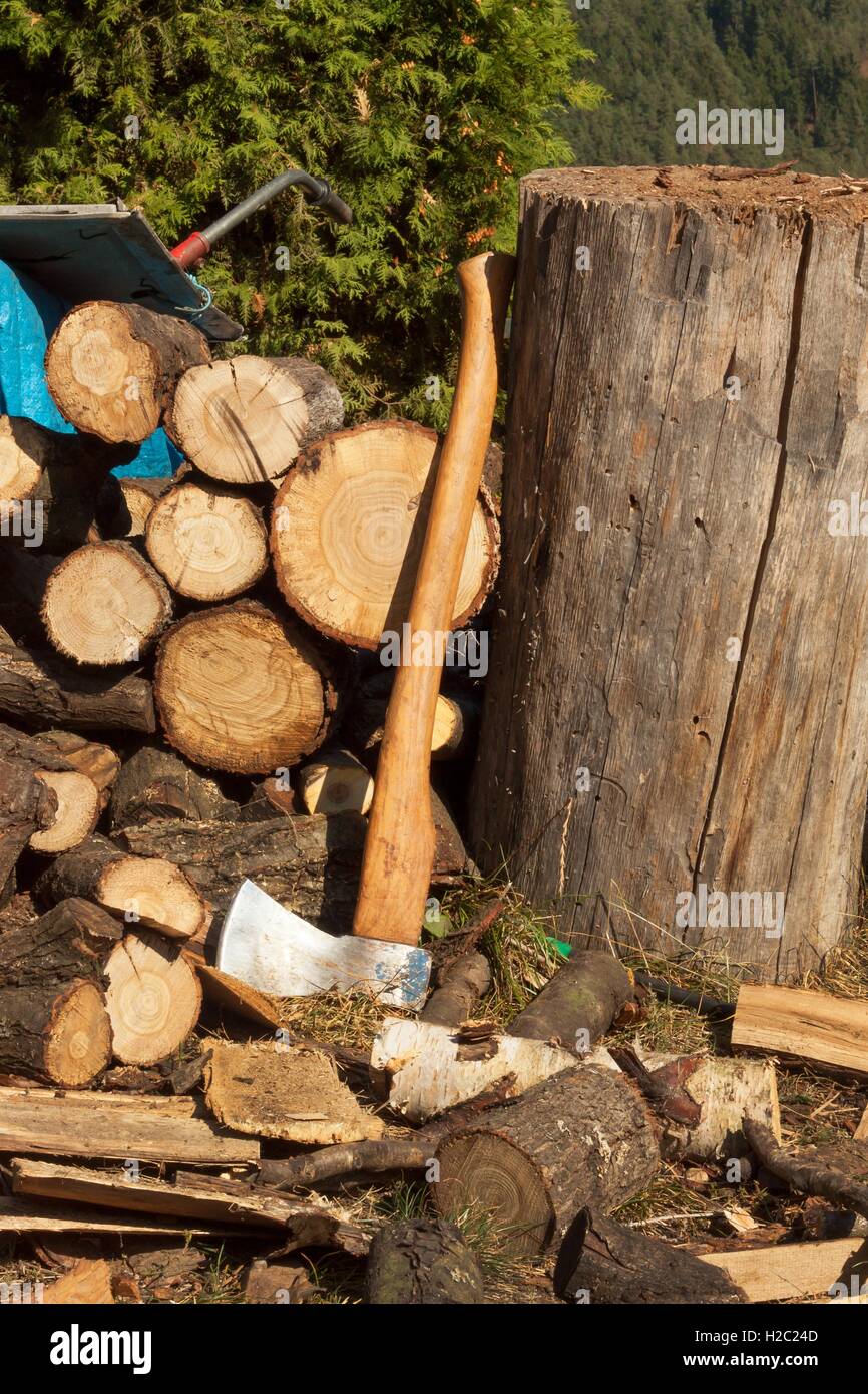 Old ax on log and firewood. Axe Cut into Wood after Chopping Firewood ...