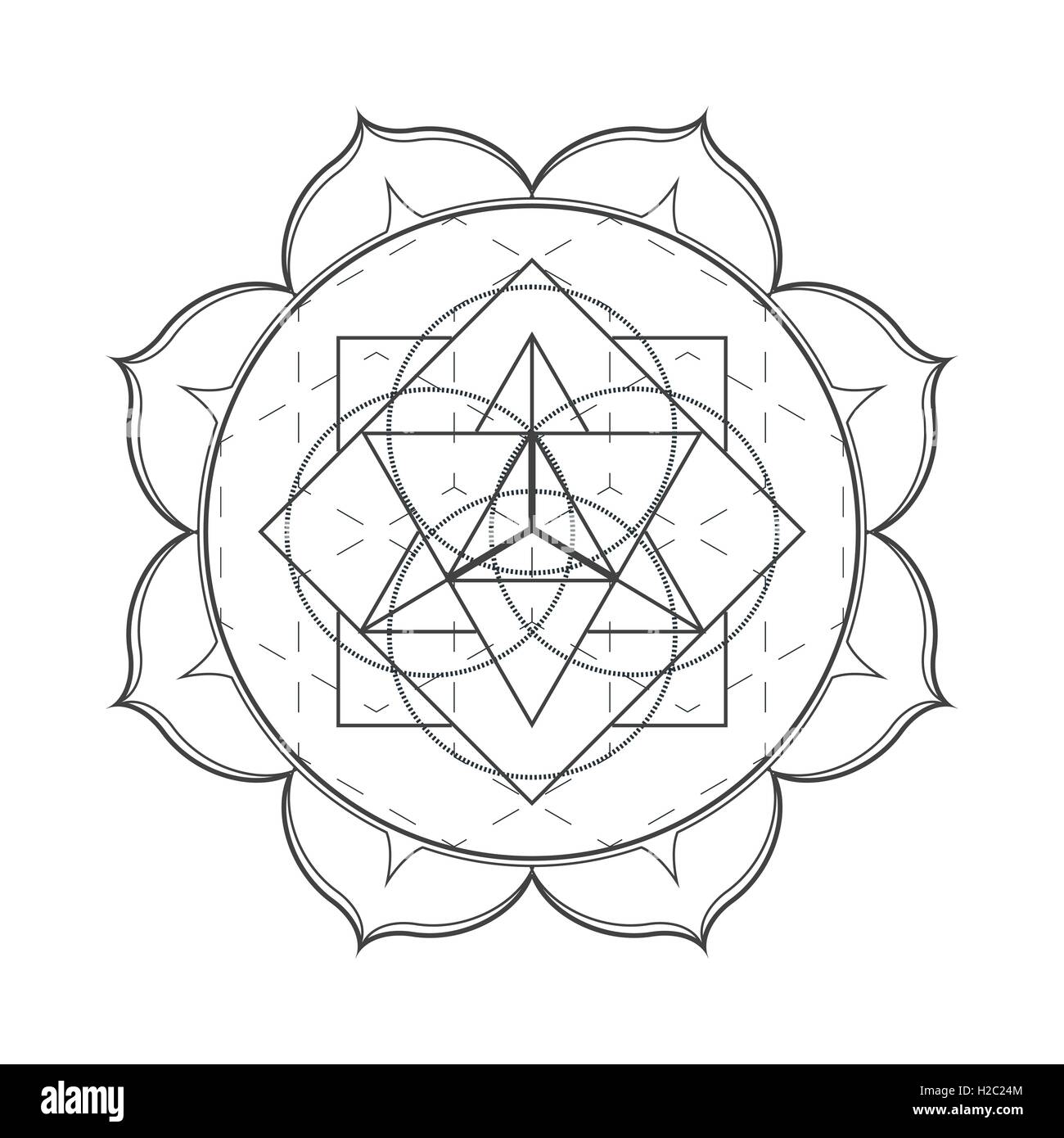 vector contour monochrome design mandala sacred geometry illustration ...