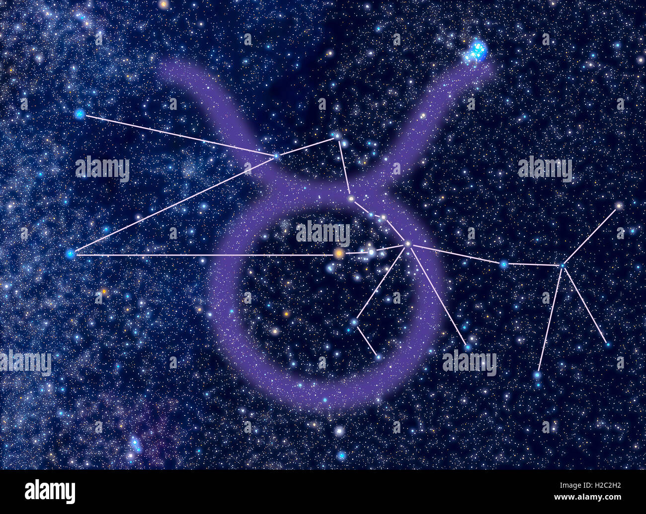 Taurus (The Bull) Zodiac constellation. Taurus sign corresponds to ...
