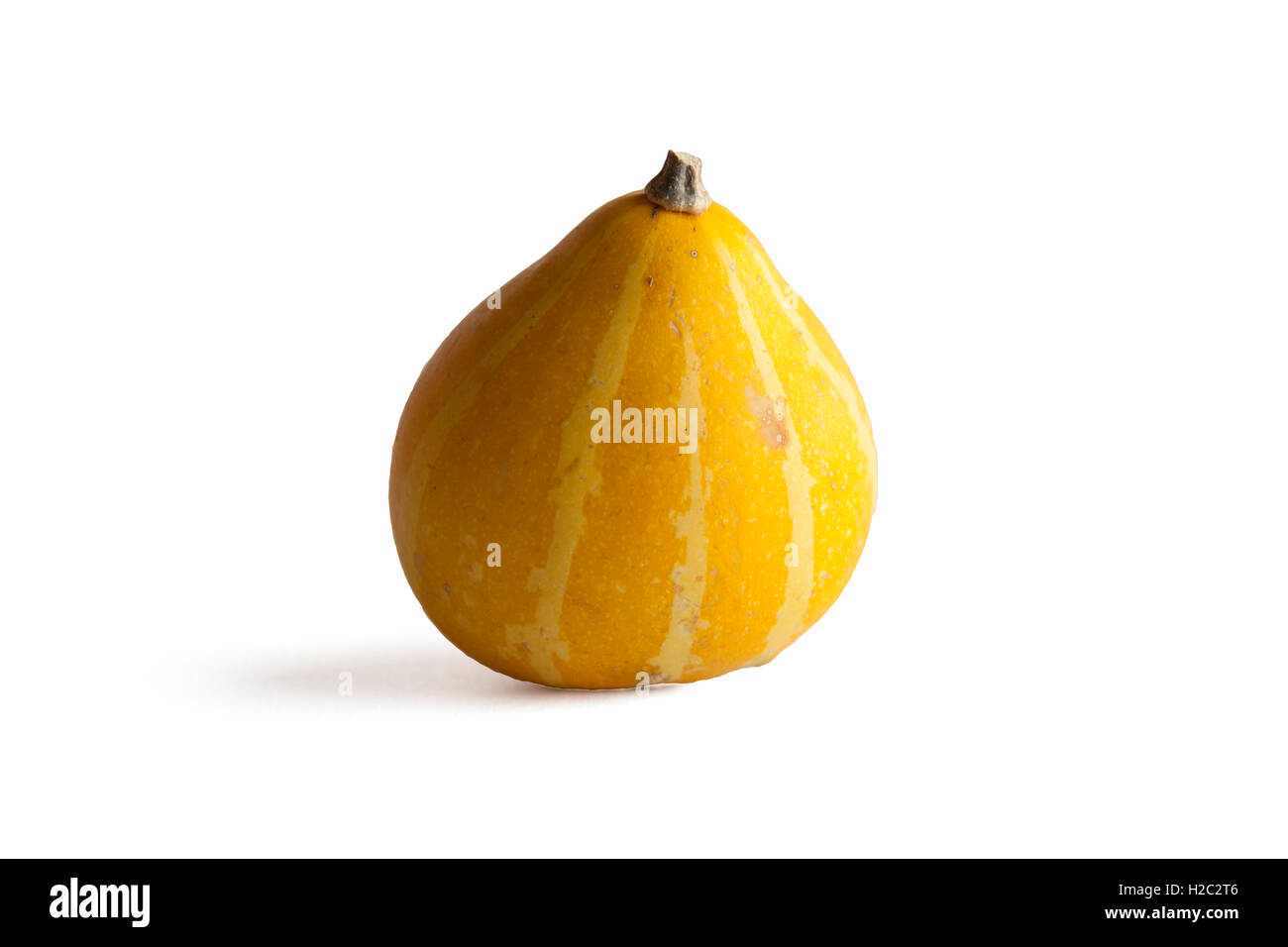 Stock image of a yellow gourd on a white background Stock Photo - Alamy