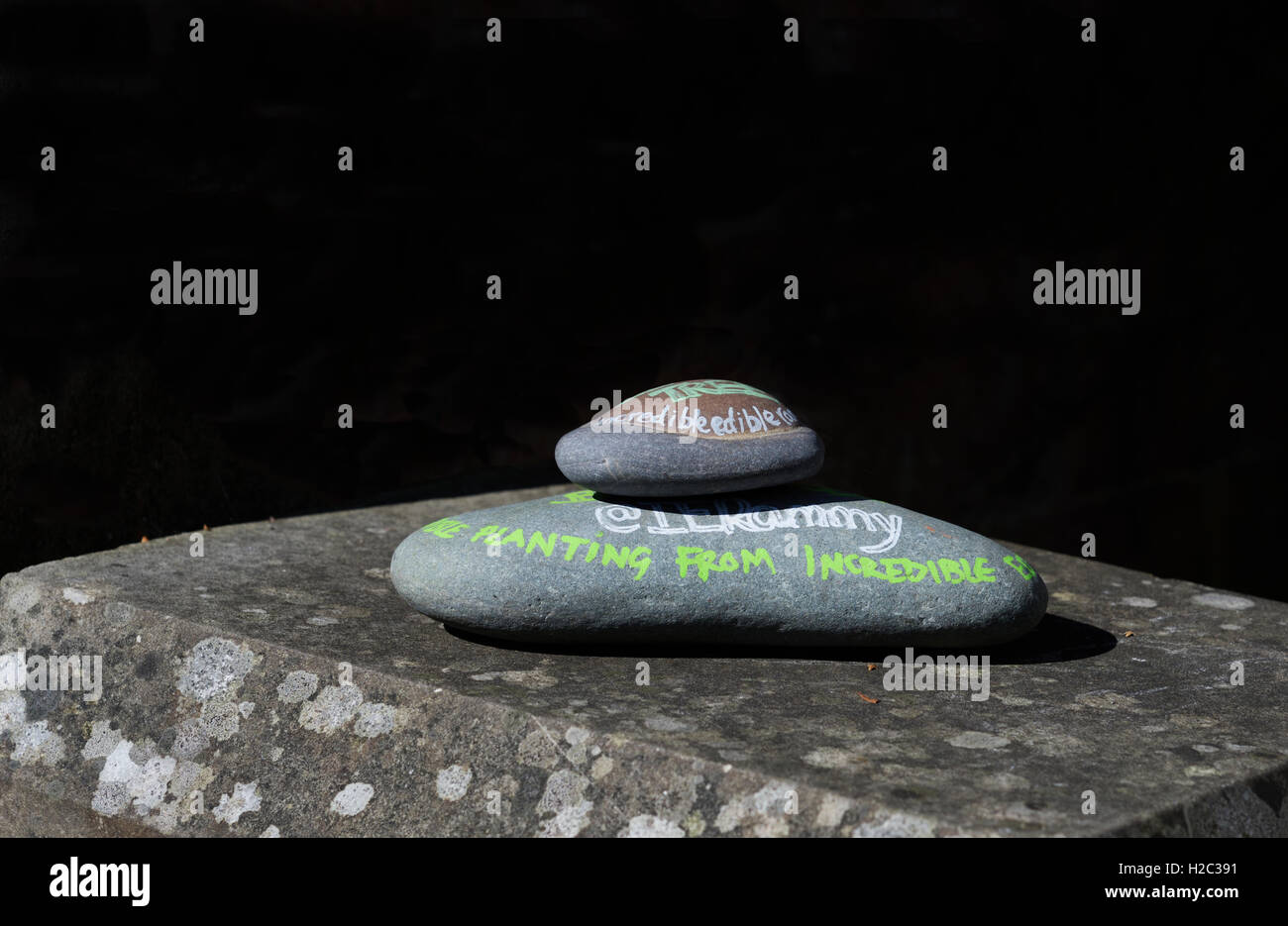 Incredible edible,two painted stones on stone plinth with black ...