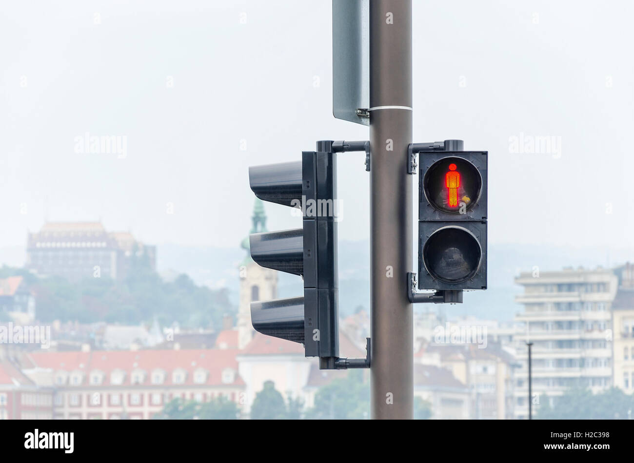 Traffic light on the background of the street. Steady red color. Close ...
