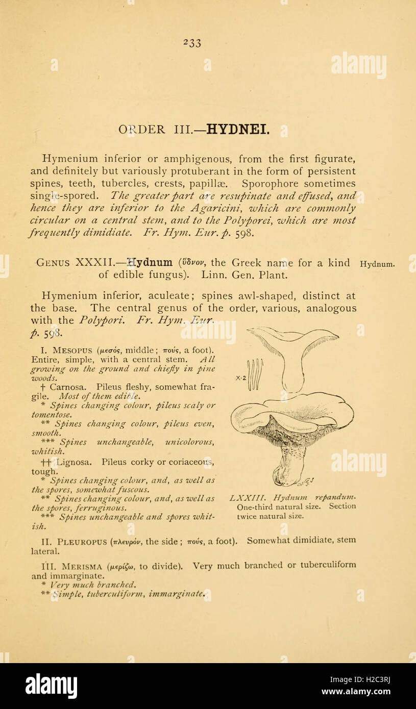 Page 233 of 'British Fungi' focuses on the Hymenomycetes class of fungi ...