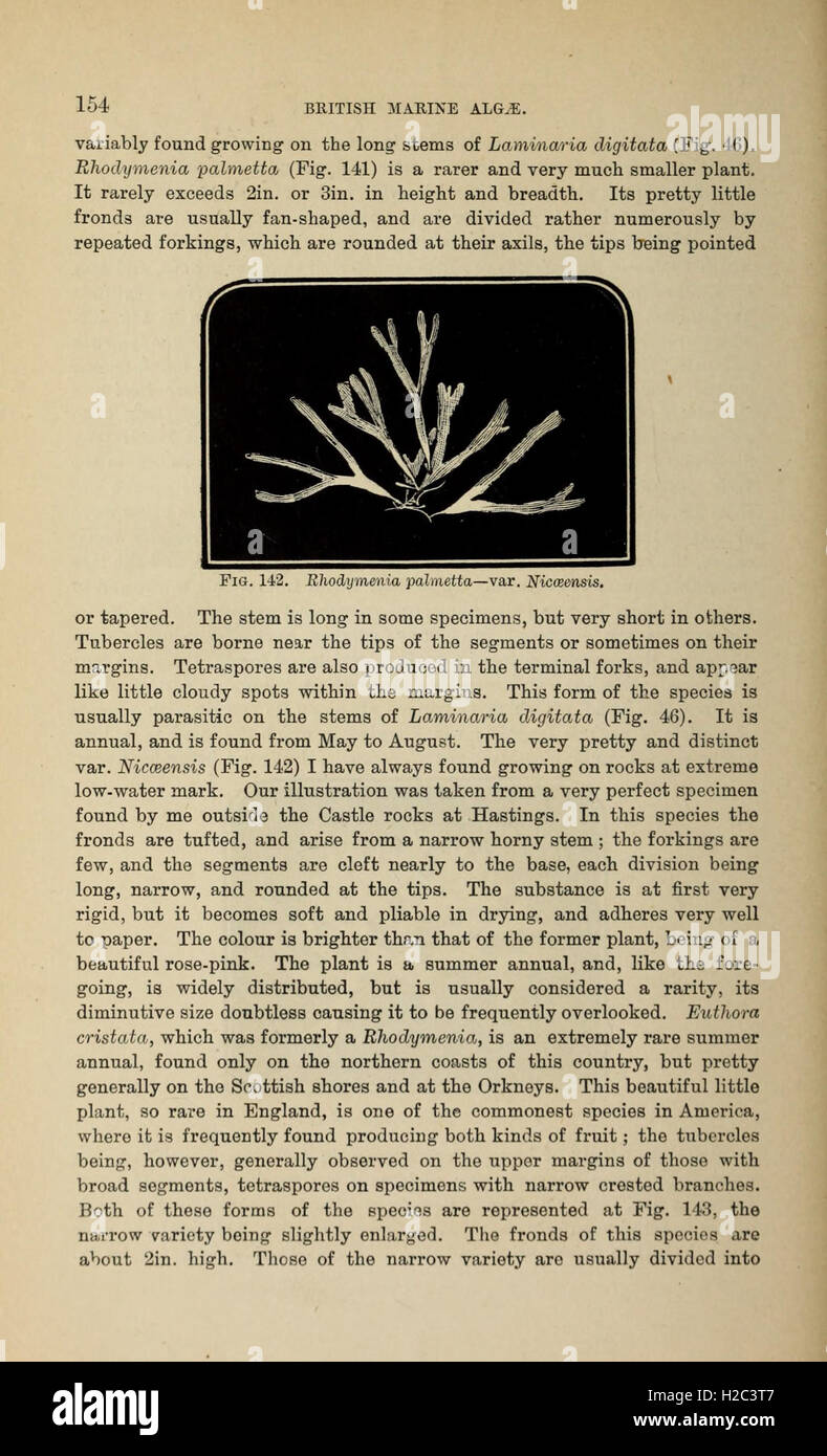 This work documents the diverse species of marine algae found along the ...