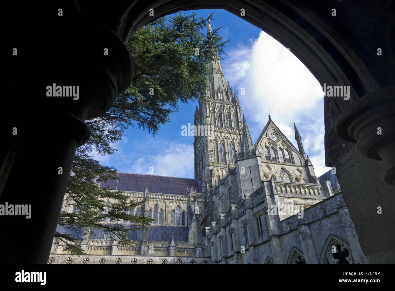 Salisbury cathedral spire from cloisters Stock Photo - Alamy