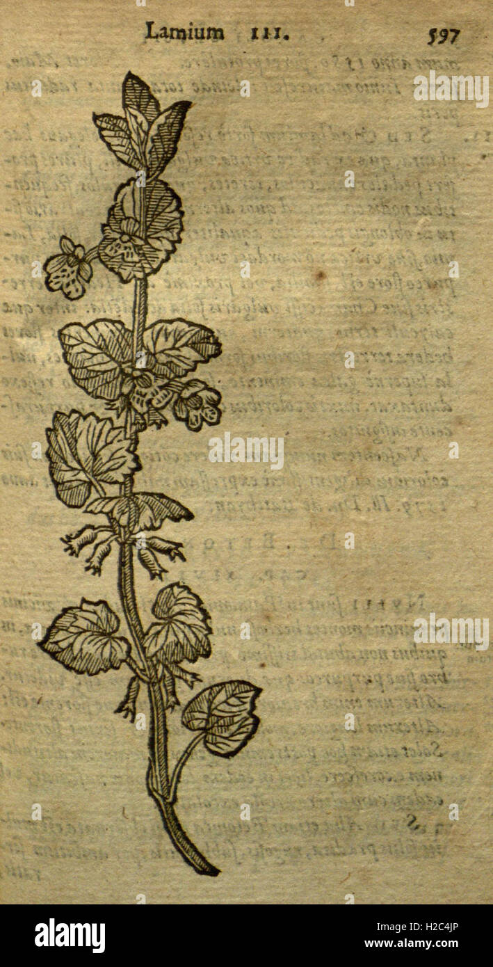 An extensive botanical catalog of rare plant species compiled by ...