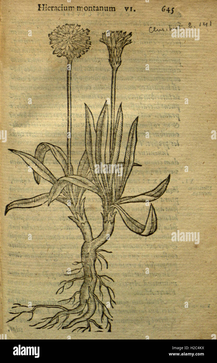 A work by Carolus Clusius that focuses on rare plant species, providing ...