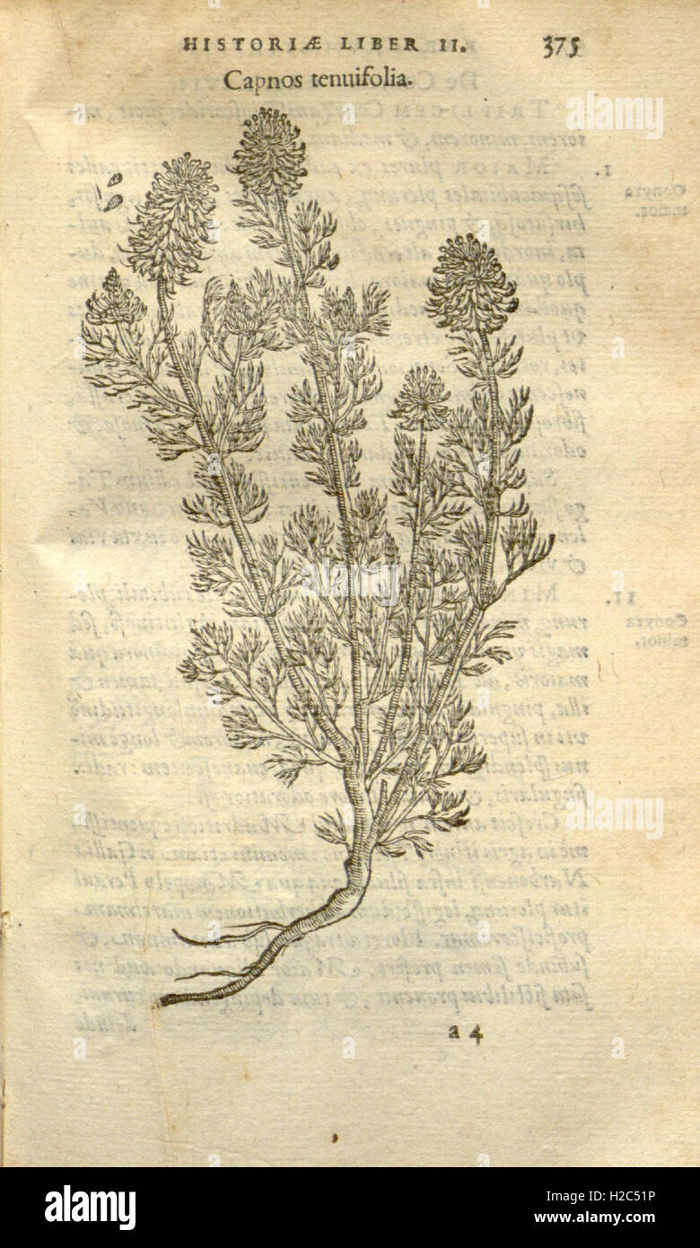 This historical botanical work by Carolus Clusius details rare plants ...