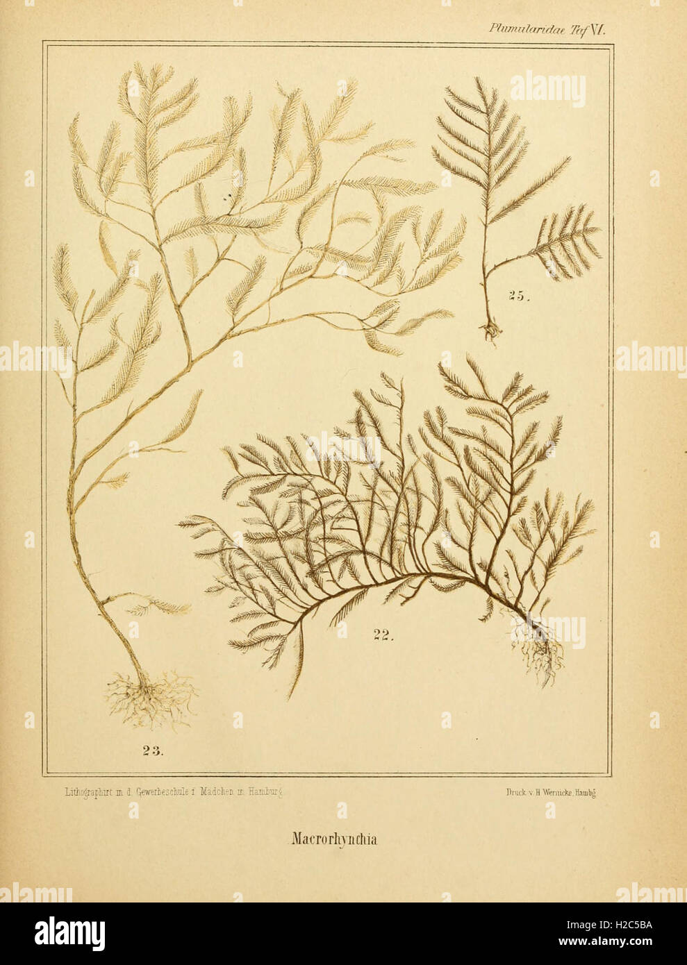 A collection of scientific papers from various fields of natural ...