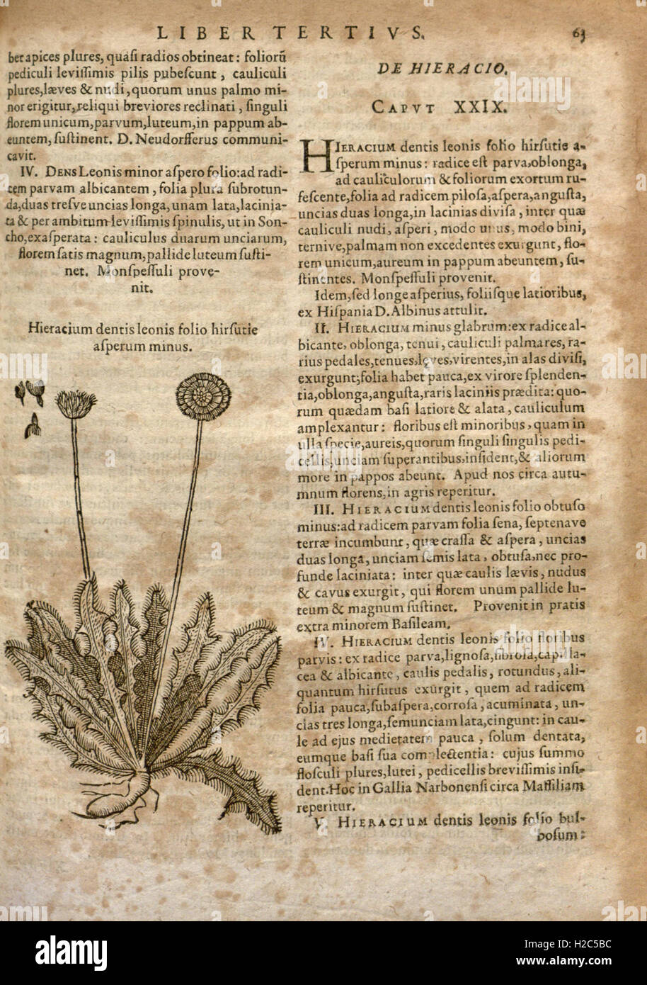 A catalog of botanical works by Caspari Bauhin, with details listed on ...