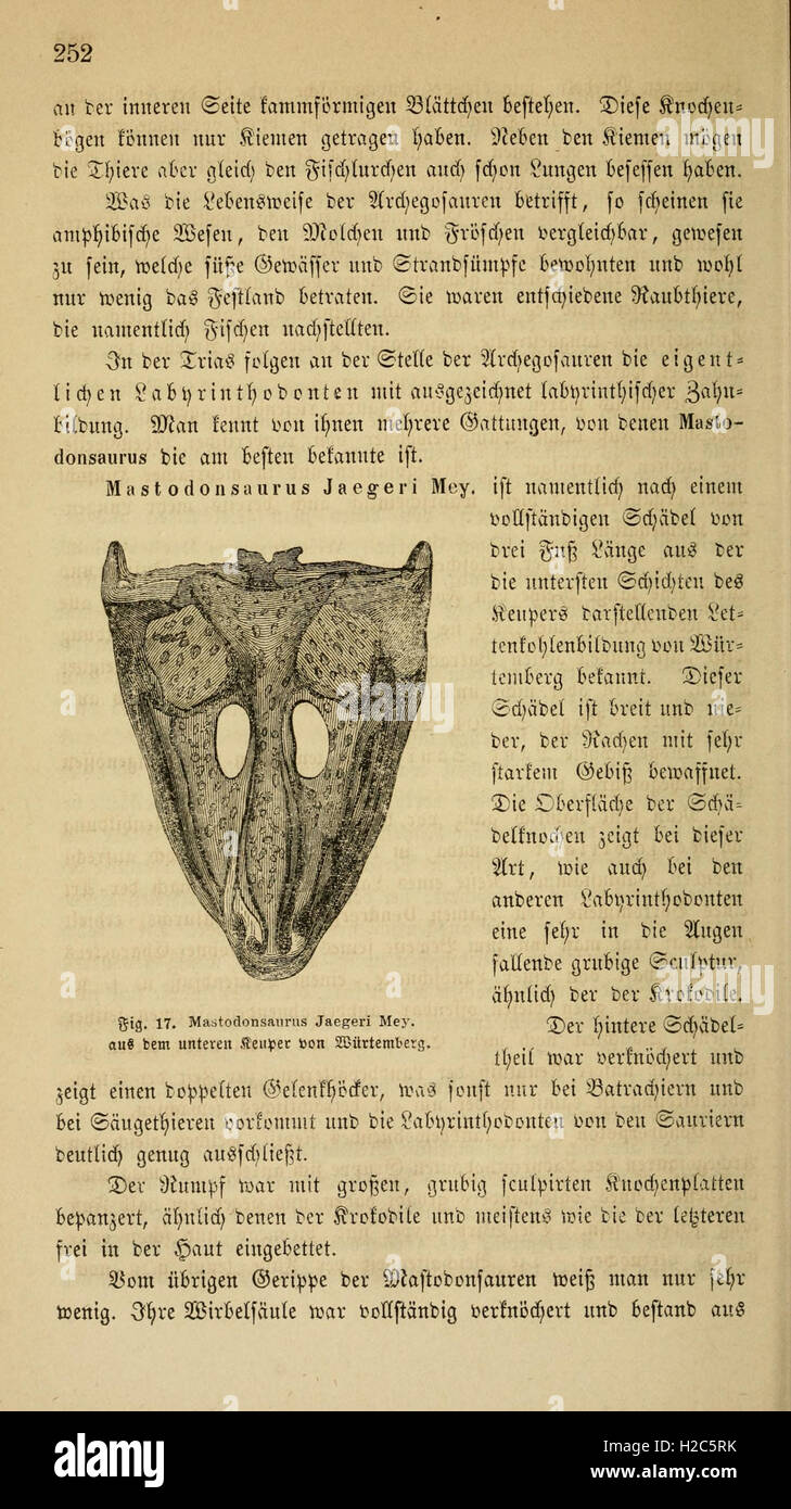 This German text discusses Charles Darwin's theory of evolution ...