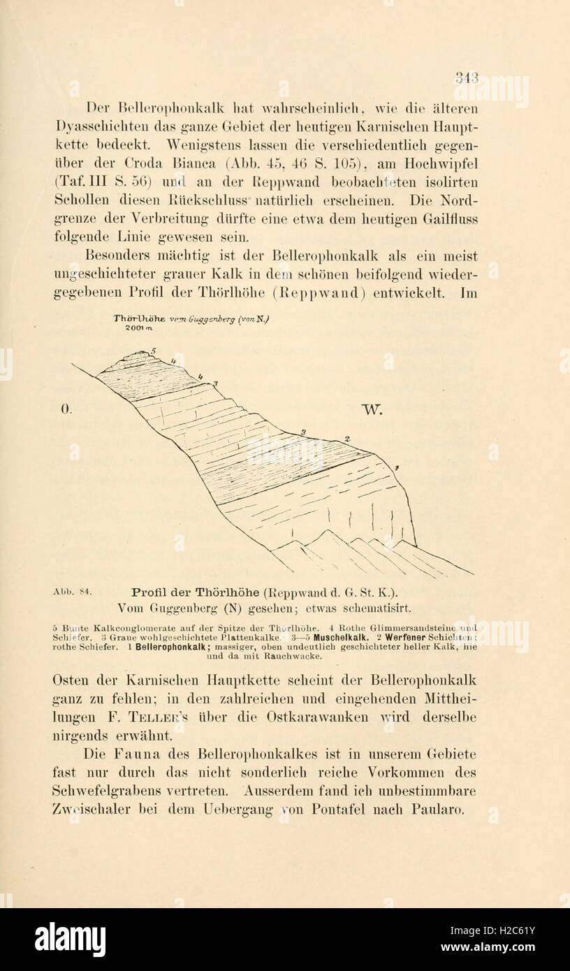 This journal includes the research findings of the Halle Natural ...