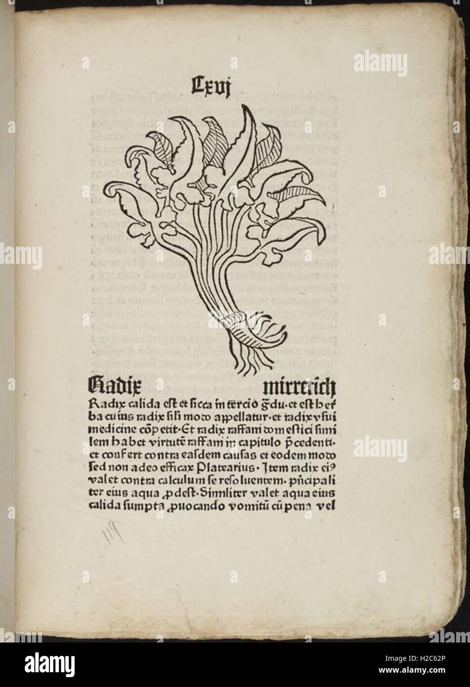 A Latin medical text discussing the formulation of medicinal ...