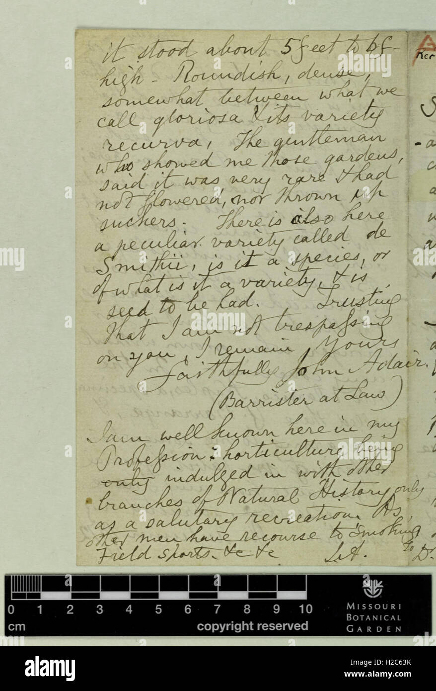Correspondence - Adair (John) and Engelmann (George) (Aug 21, 1874 (2 ...