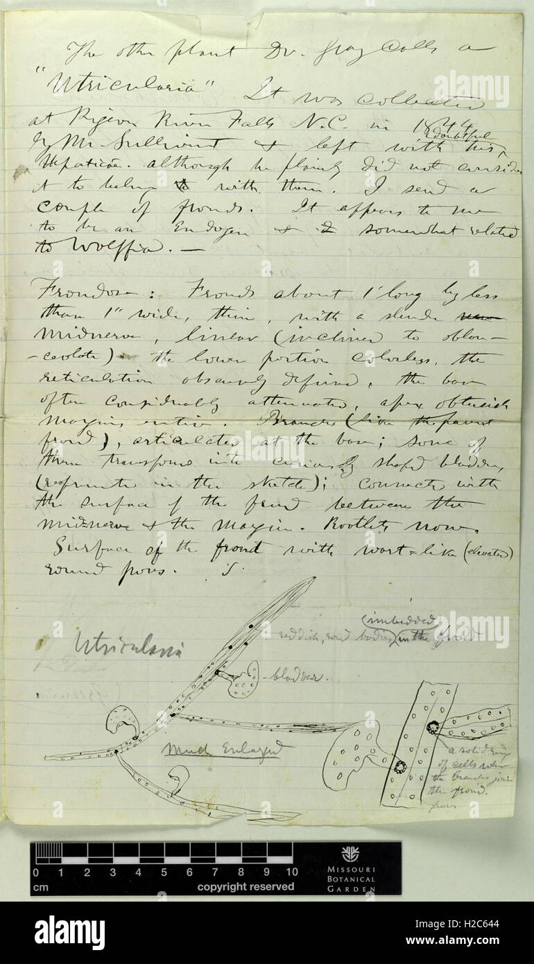 Coe font hi-res stock photography and images - Alamy