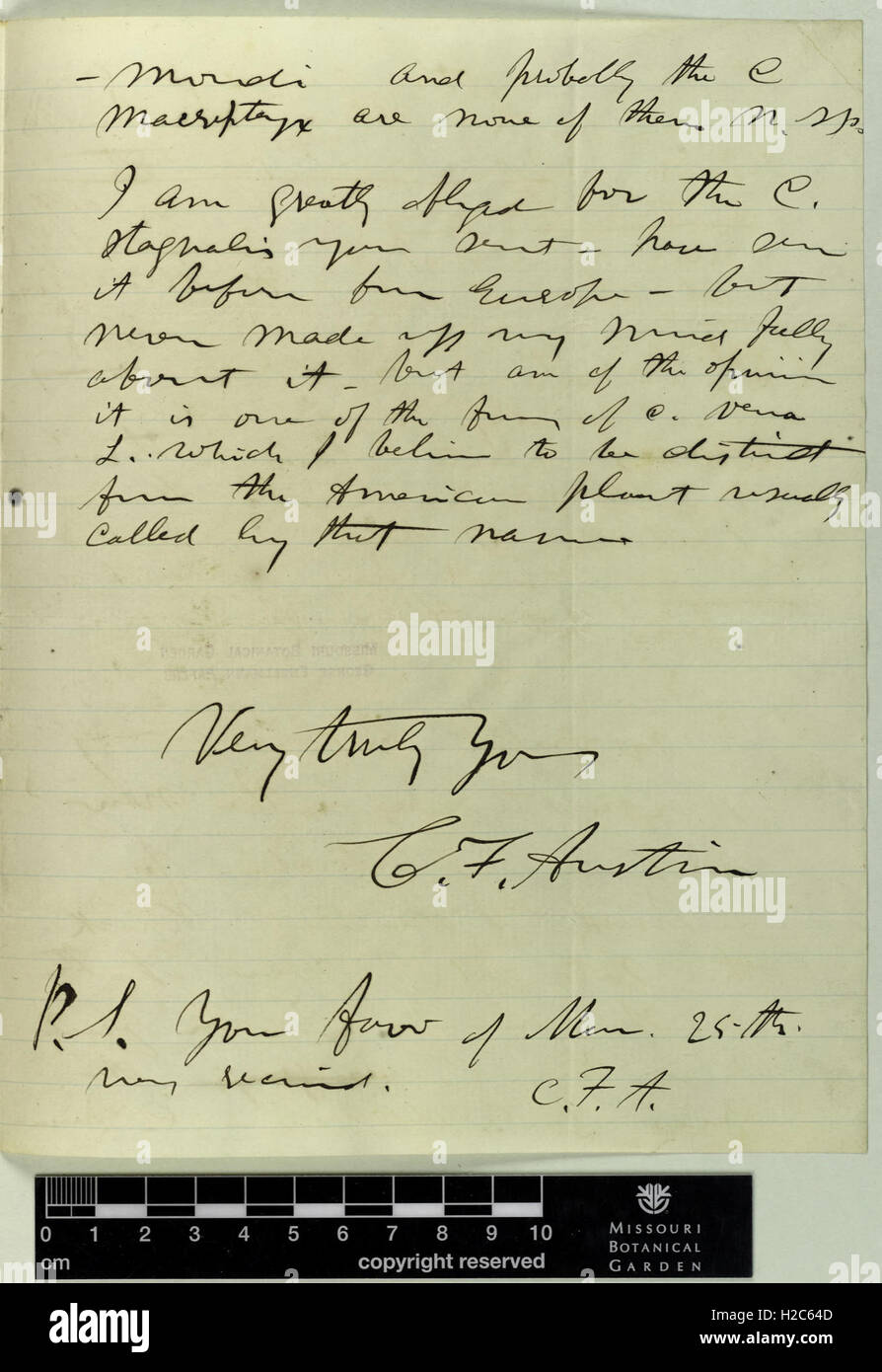 Coe font hi-res stock photography and images - Alamy