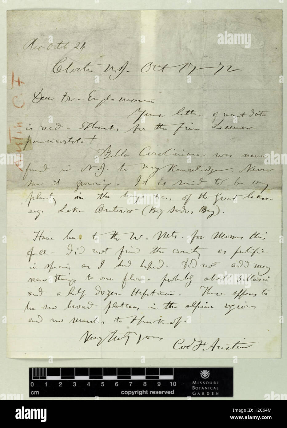 Coe font hi-res stock photography and images - Alamy