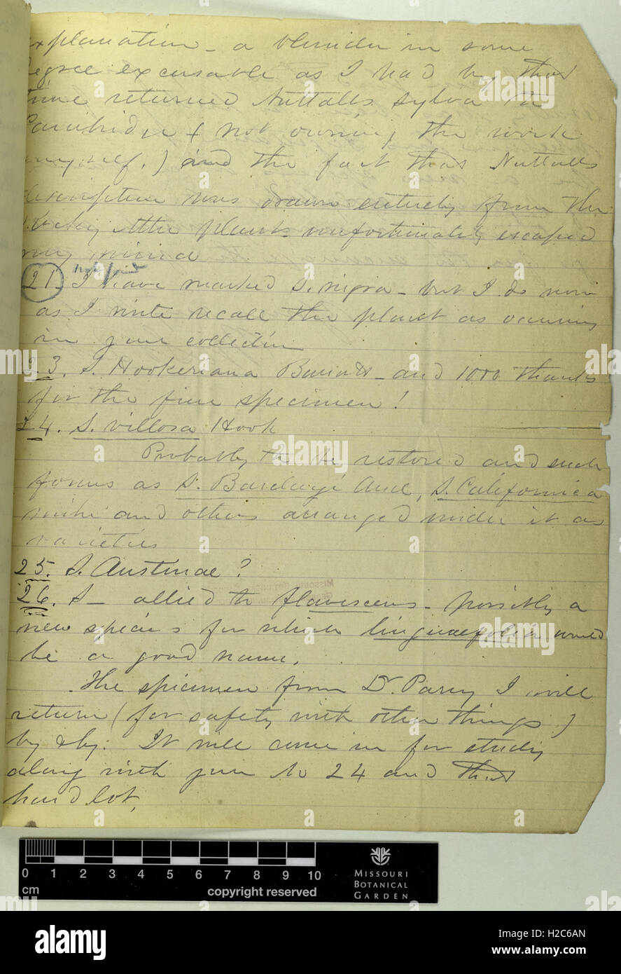 This correspondence from July 1882 between Michael Bebb and George ...