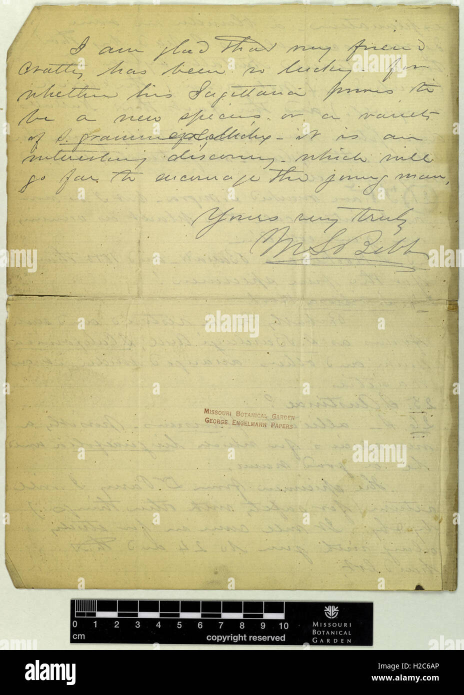 A historical letter exchange between Michael Bebb and George Engelmann ...