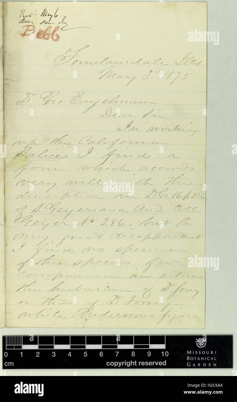 This letter from Michael Bebb to George Engelmann, dated May 3, 1875 ...