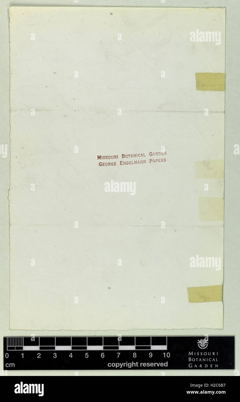 A historical letter exchange between Michael Bebb and George Engelmann ...