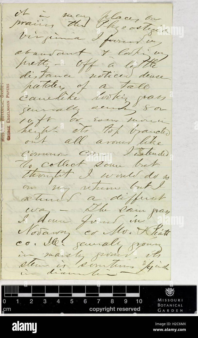 A letter exchange between Garland Broadhead and George Engelmann dated ...