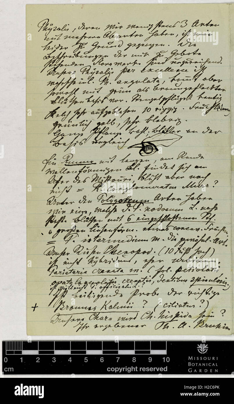 This letter exchange between Thomas Bruhin and George Engelmann offers ...
