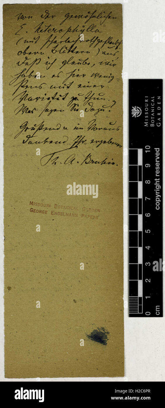 Thomas engelmann hi-res stock photography and images - Alamy