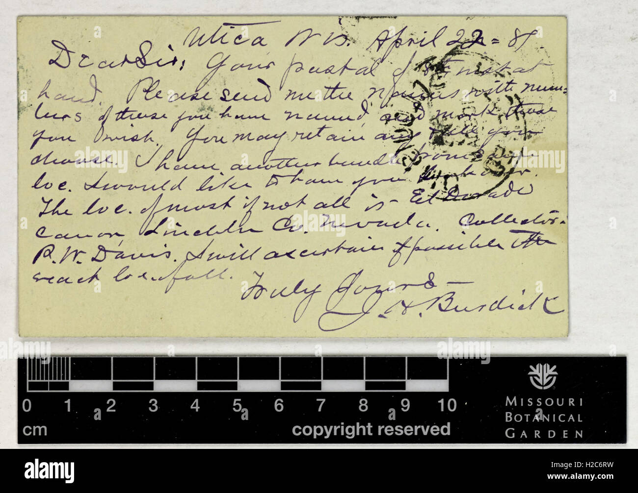 A letter exchange between Justin Burdick and George Engelmann, dated ...