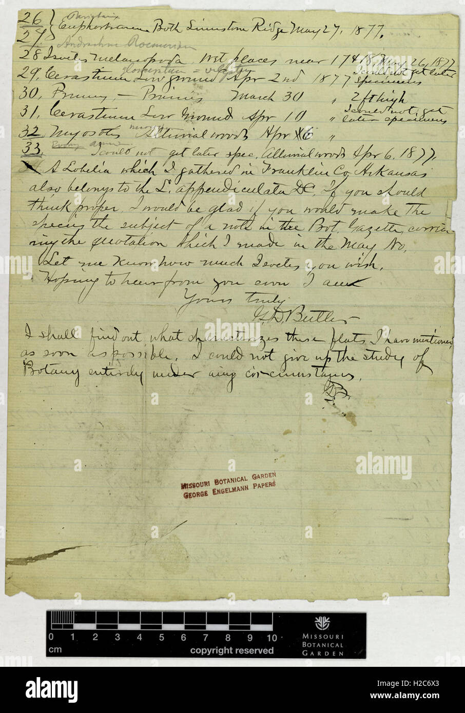 This letter correspondence between George Butler and George Engelmann ...