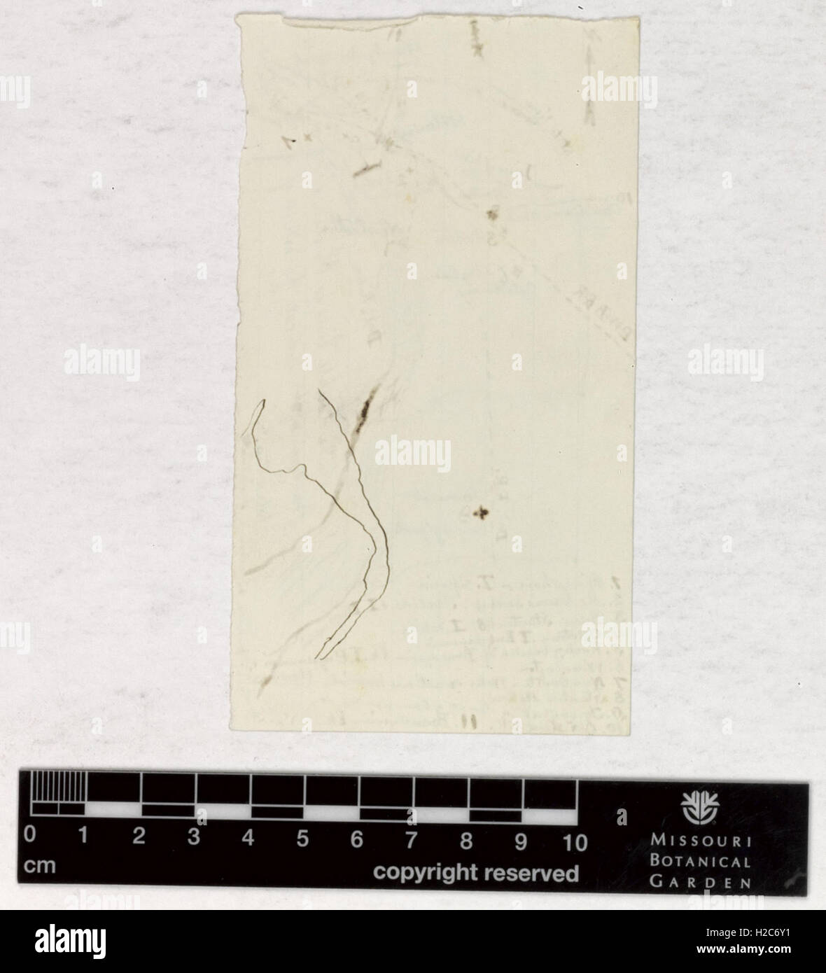 Map of canby hi-res stock photography and images - Alamy