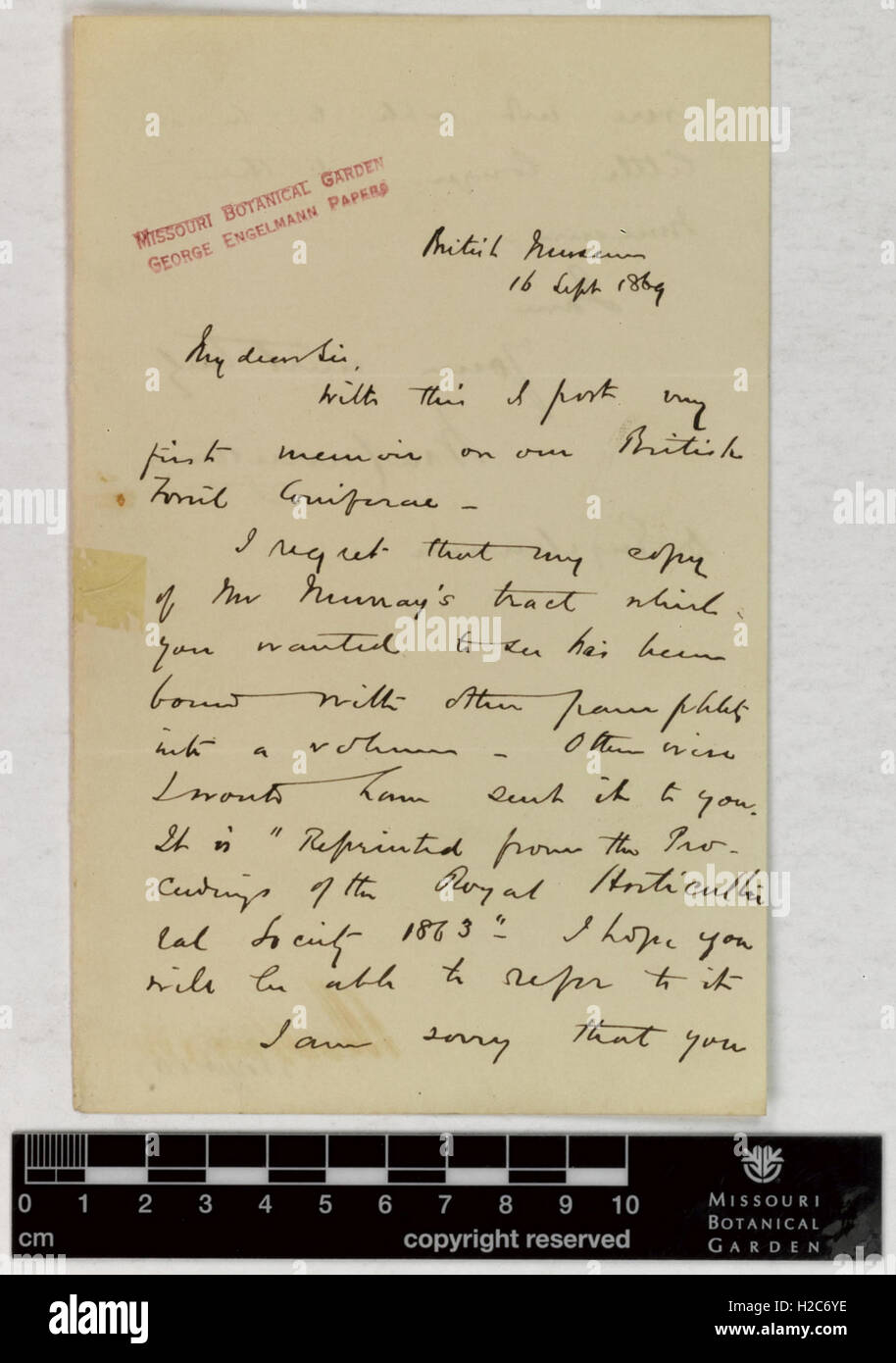 William carruthers hi-res stock photography and images - Alamy