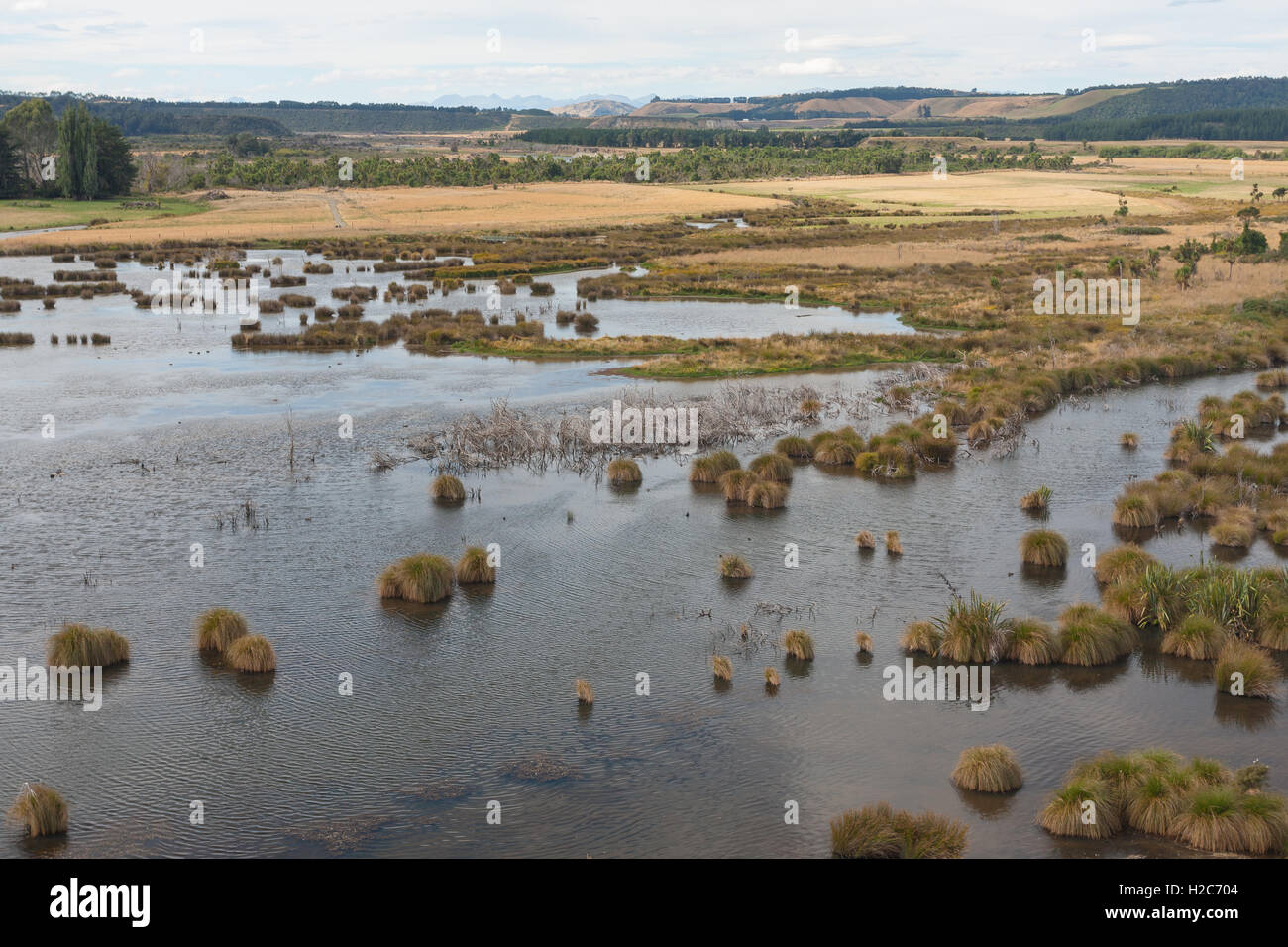Wetlands in New Zealand / landscape Stock Photo - Alamy