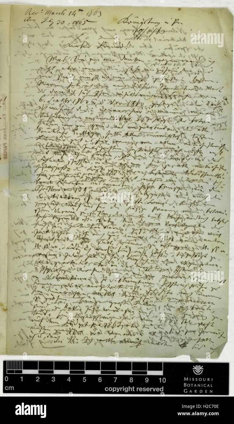 This letter exchange between Robert Caspary and George Engelmann, dated ...