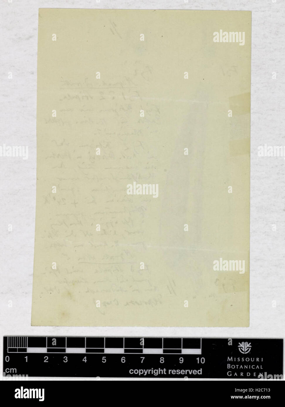 This correspondence between Robert Caspary and George Engelmann from ...