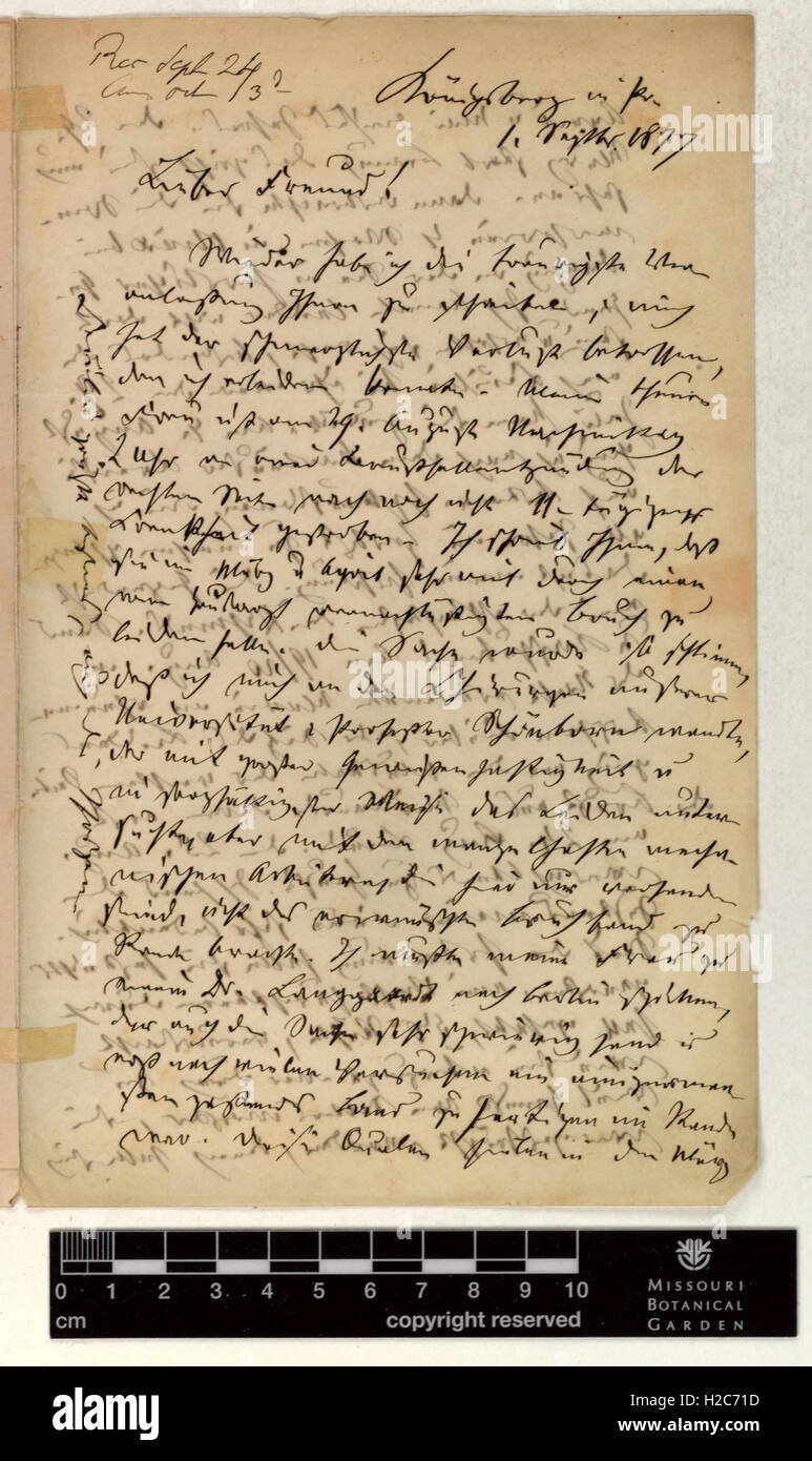 The correspondence between Robert Caspary and George Engelmann, dated ...