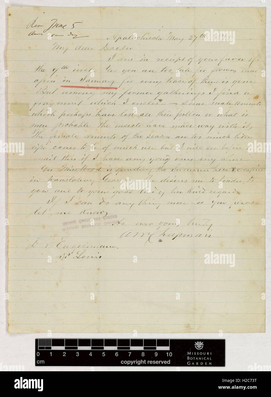 This is a historical letter exchange between Alvan Chapman and George ...